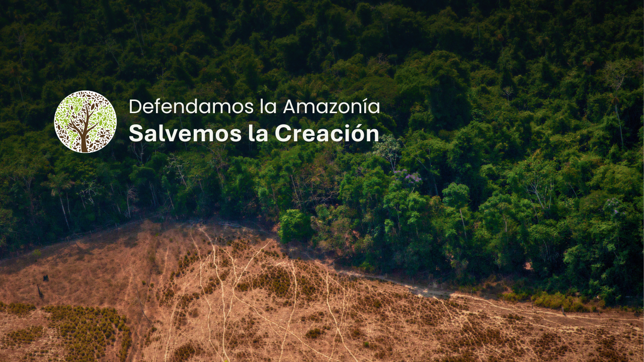 “Defendamos la Amazonía. Salvemos la Creación": Lanzan campaña ...