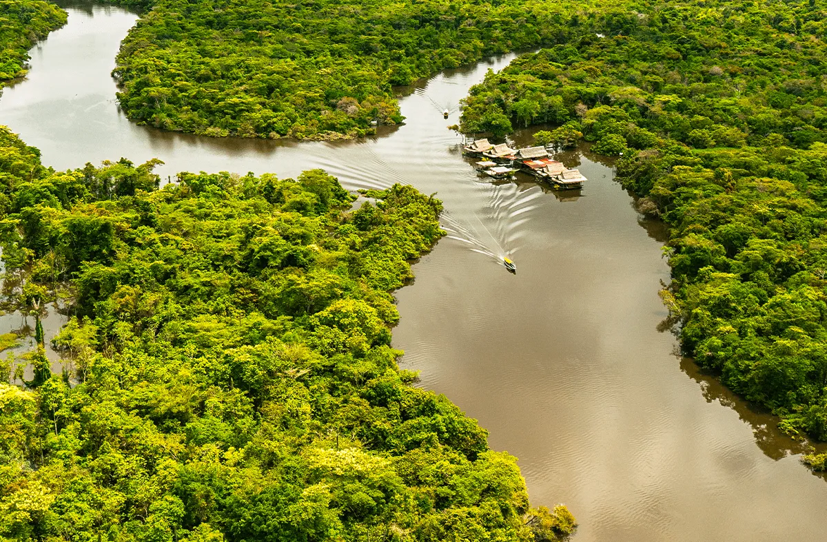 Agua, Vida y Sabiduría: el papel de la biodiversidad y la cultura ...